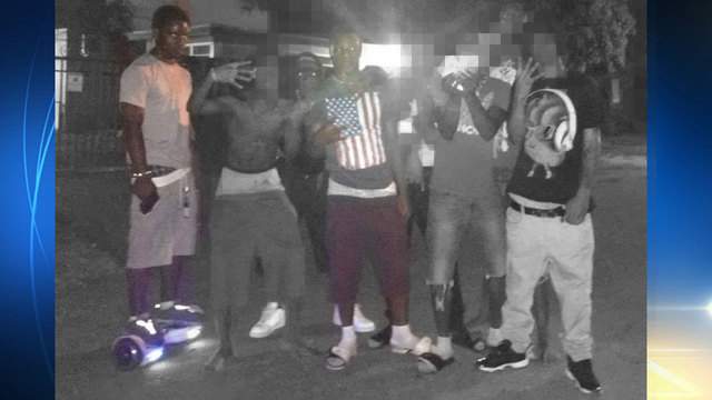 Miami Gardens Gangs | Fasci Garden