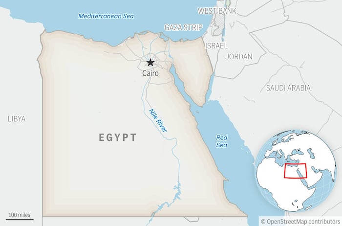 Former Egyptian doctor arrested after alleging abuses at hospital is ...