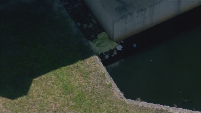 Homicide detectives investigate after ‘human remains’ found in Miami ...